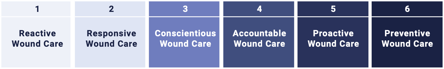 The Hospital Digital Wound Care Maturity Model [Part 3: Building a Top ...