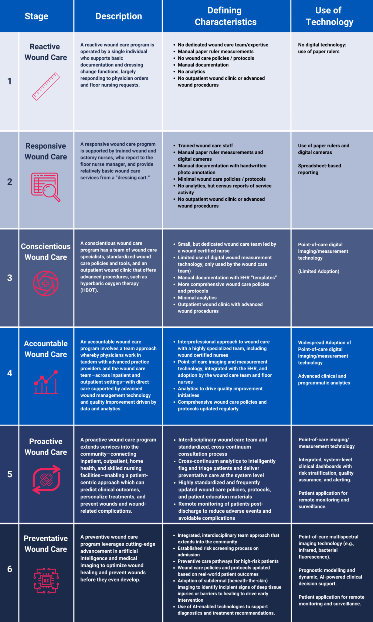 The Hospital Digital Wound Care Maturity Model [Part 2: The Maturity ...